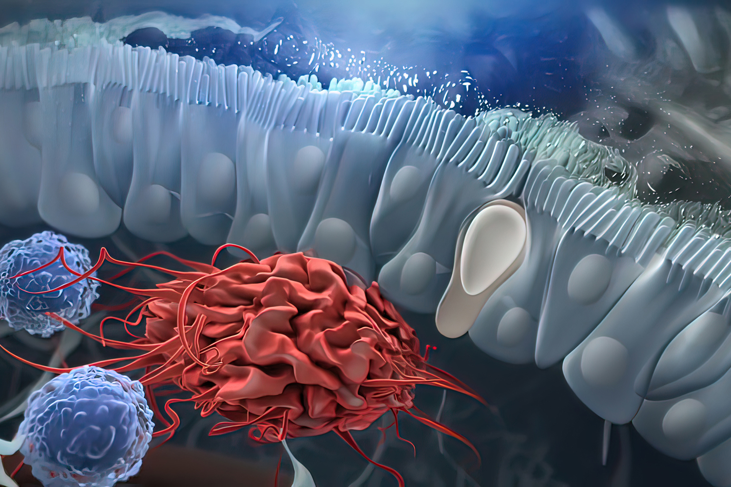 Inflammation & Immunity | Lerner Research Institute