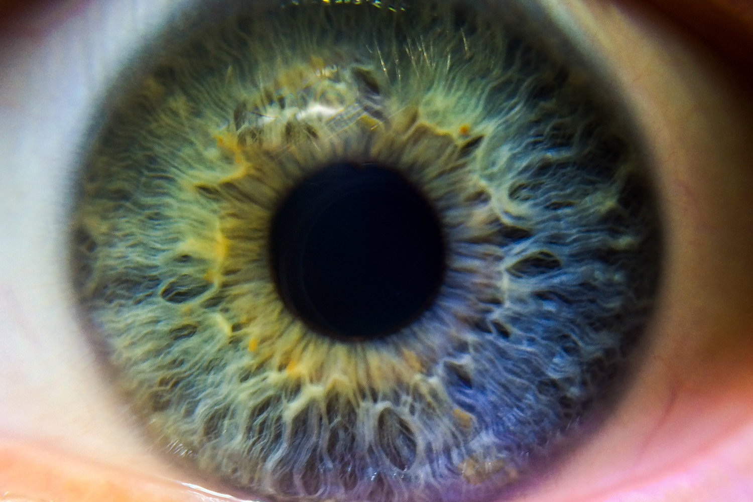 K.P. Connie Tam Lab | Lerner Research Institute